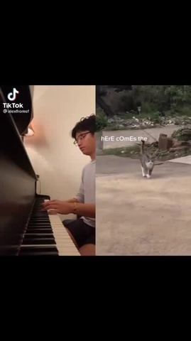 here comes the boy - Coub