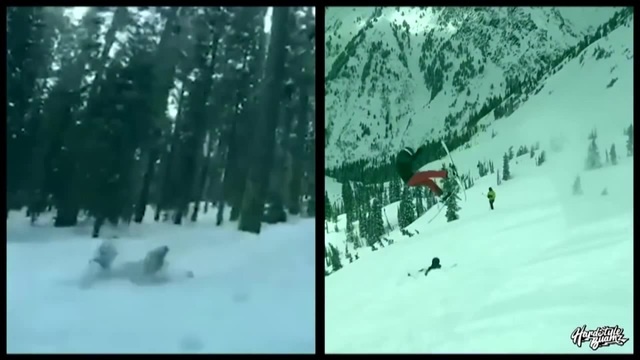 Hansi Hinterseer - Ski Twist (Hardstyle Buamz Remix) - Coub