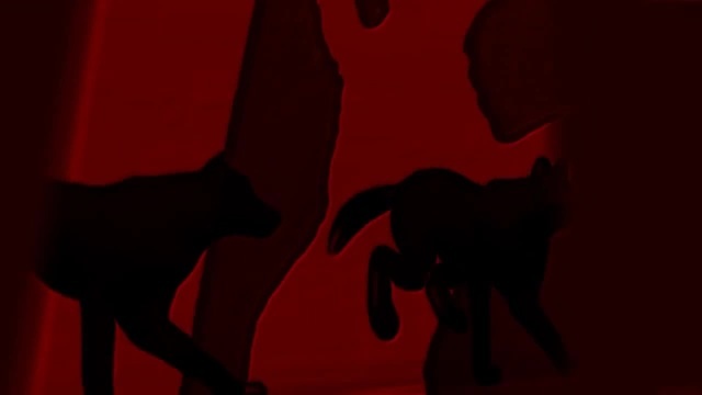 run with the wolves - Coub