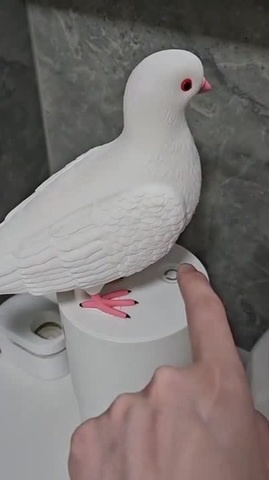 I have a poo🤣🤣🤣🤣🤣 - Coub