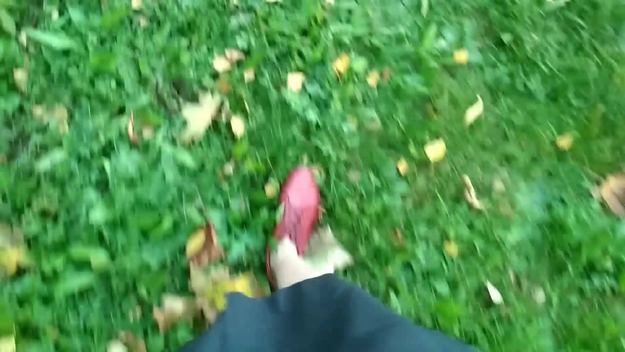 Over the garden wall - Coub - The Biggest Video Meme Platform