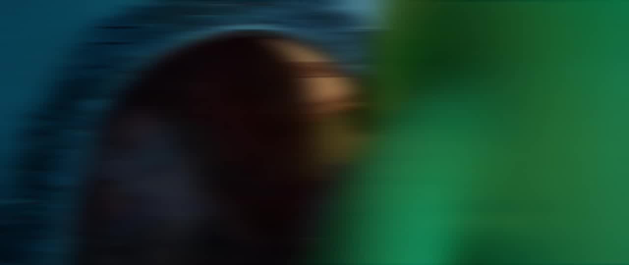 Unexpected guest - Coub