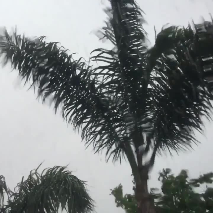 johto. - rain bump - Coub - The Biggest Video Meme Platform