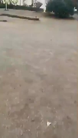 Wow lady. Really?? - Coub