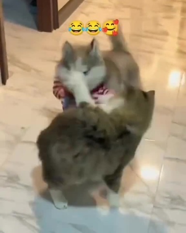 Psycho Killer - Coub