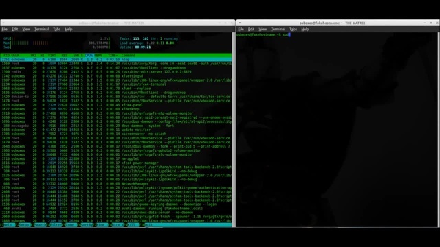 Free computer terminal code video sequence - Coub