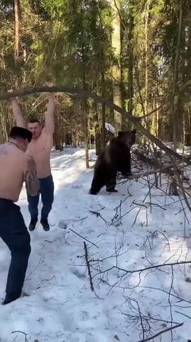 Normal day - Coub - The Biggest Video Meme Platform