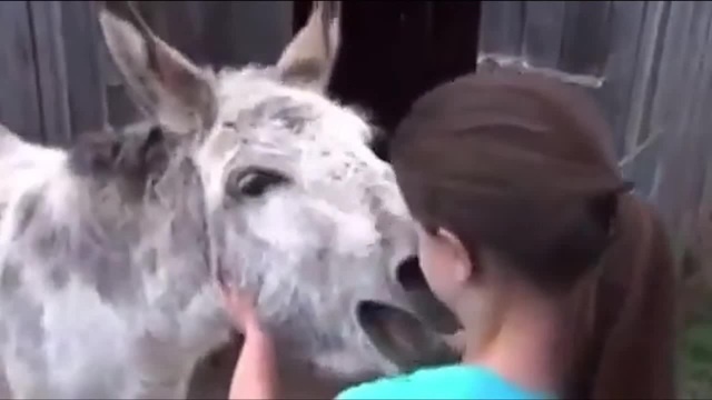 1663253189221637272_1280x720.webm - Coub