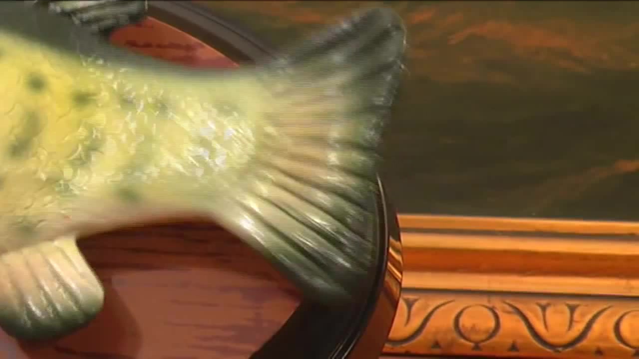 How much is the fish? (SCOOTER) - Coub