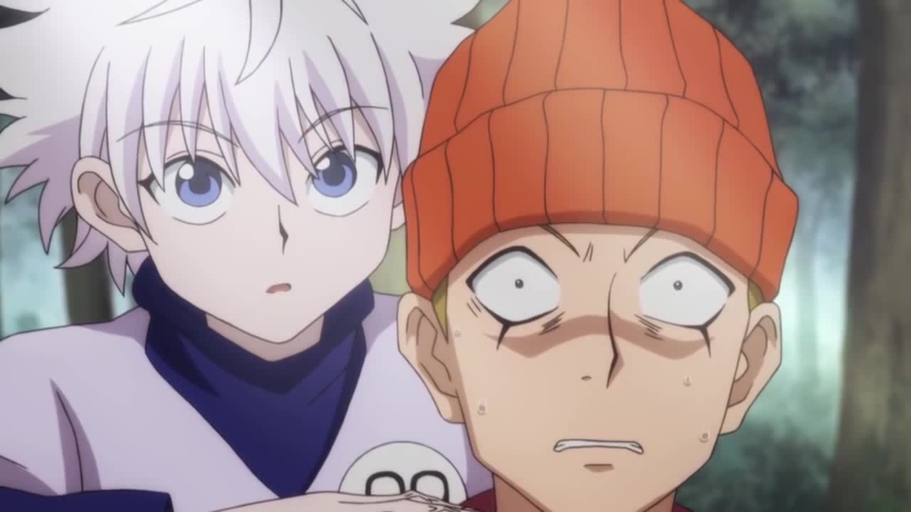 Hunter x Dumber 2 (Hunter x Hunter Abridged) Completely Normal - Coub