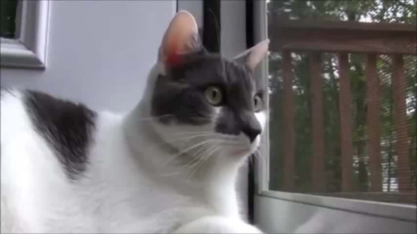 watchtower - Coub - The Biggest Video Meme Platform