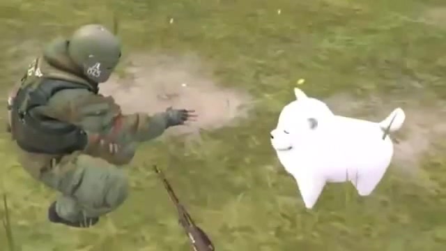 Comrade Doggo - Coub - The Biggest Video Meme Platform