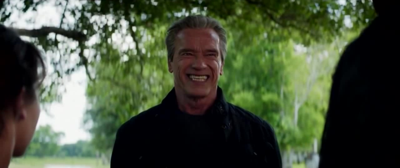 Arnold's Terminator Smile - Coub