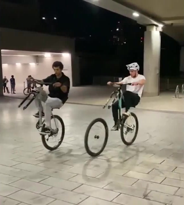 Just a regular normal biker - Coub