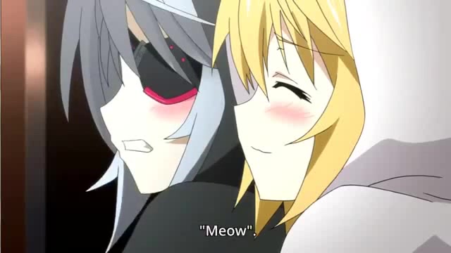 Infinite Stratos 2 Neko's - Coub