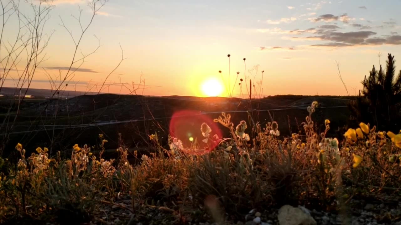 Beautiful sunset - Coub