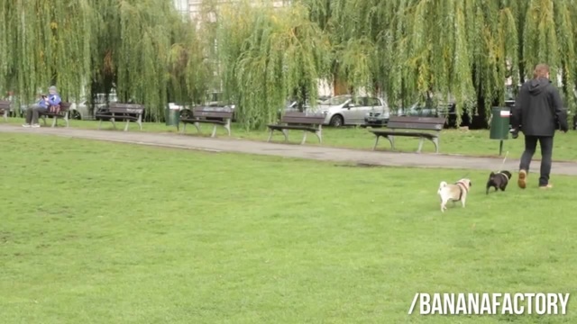 People farting on thermal camera in public! - Coub - The Biggest Video Meme Platform