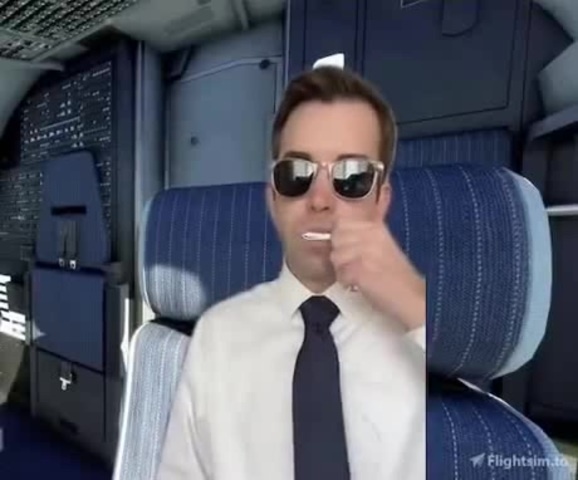 typical pilot - Coub