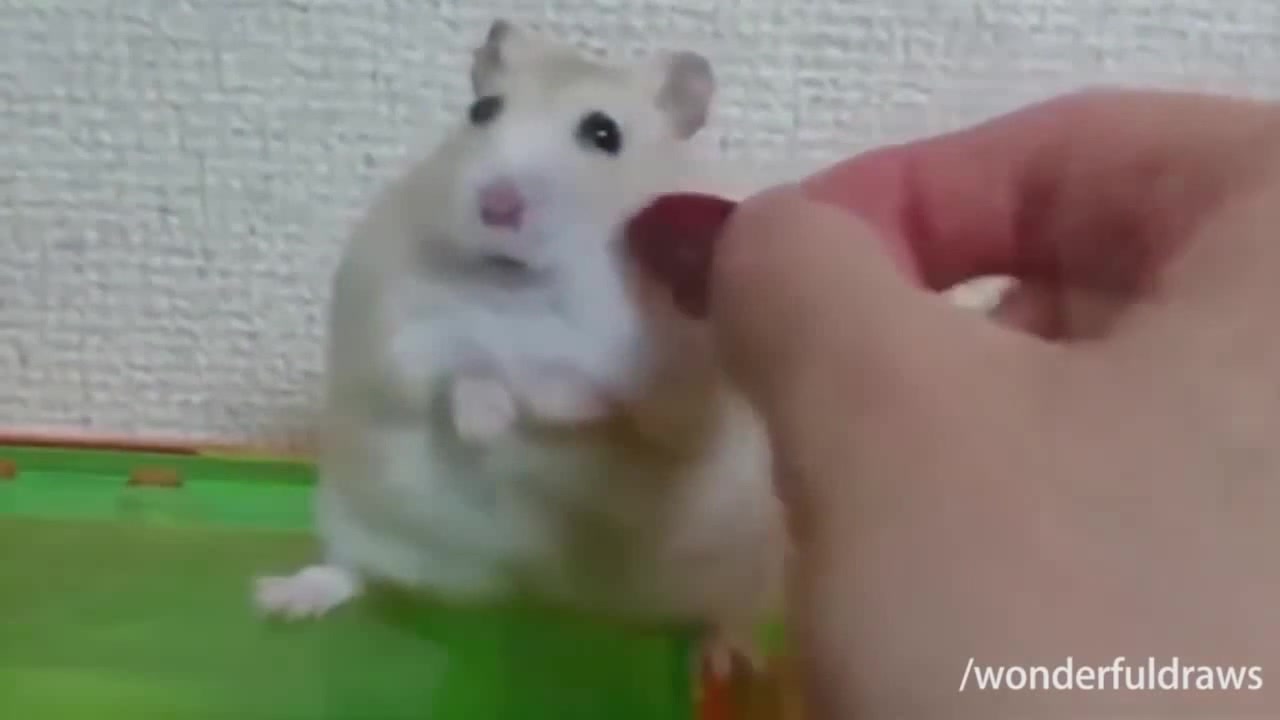 Honestly the menu song of halo 4 was good - Coub