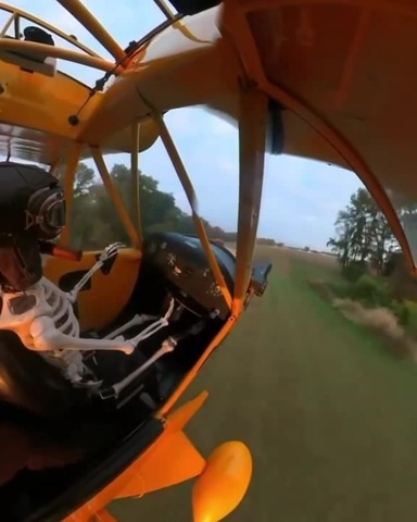 Pilot Skeleton - Coub