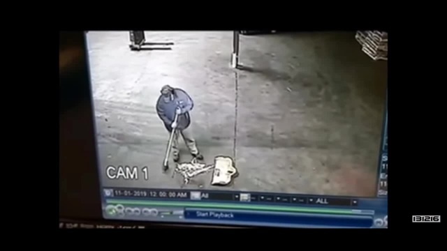 Garbage fighter - Coub