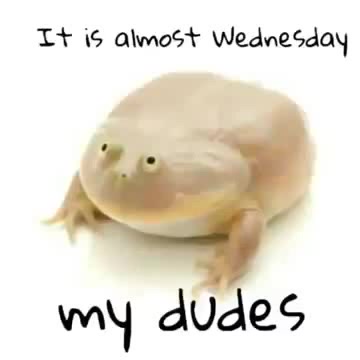 ITS ALMOST WEDNESDAY MY DUDES - Coub
