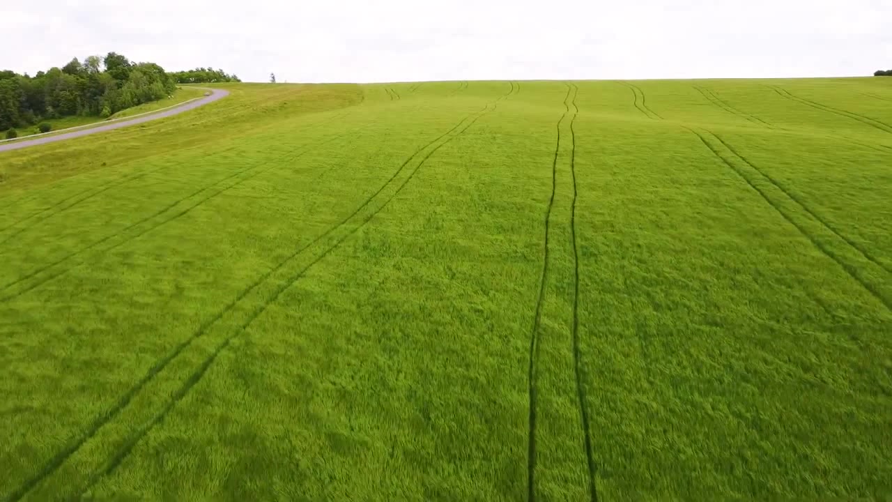 DJI Mavic mini flight - Coub