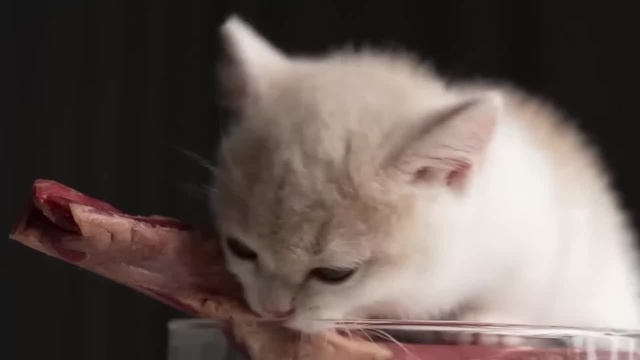 Rip and Tear.. - Coub