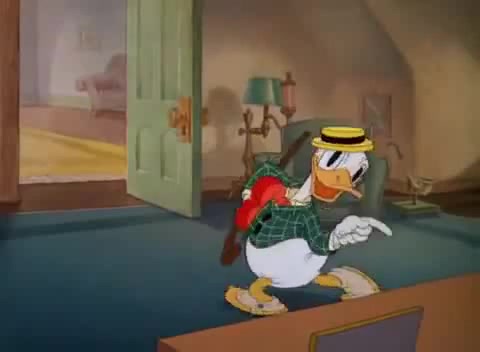 Disco Duck - Coub