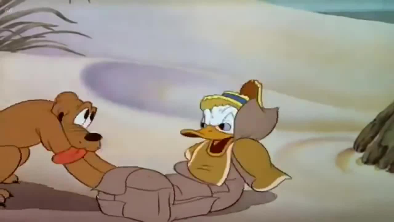 Donald Duck - Beach Picnic 22 - Coub
