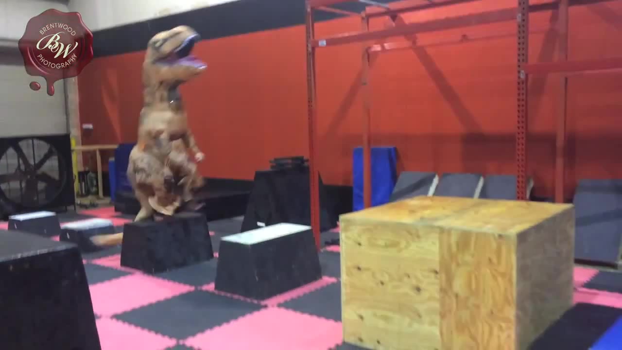 Jurassic Parkour - Coub