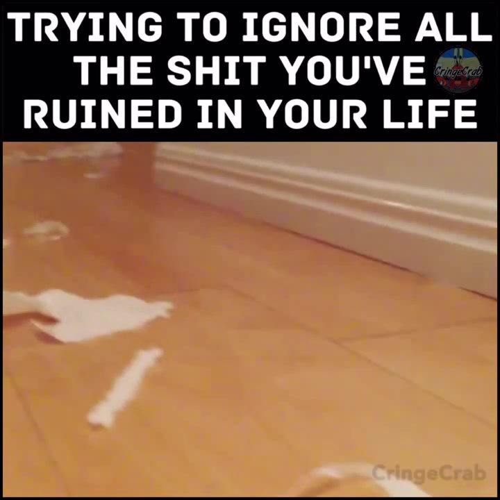 Ignore Everything - Coub