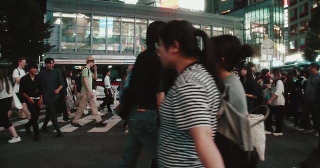 In Tokio, Kyoto, Nikko and Kamakura - Coub