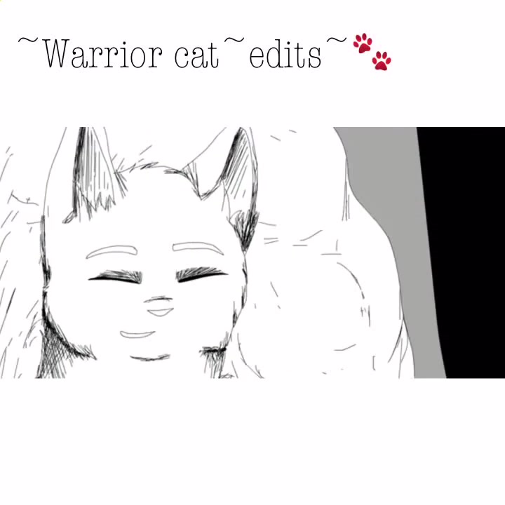 Sasha 🐱 ~she's a rouge read the comic books of warrior cats - Coub