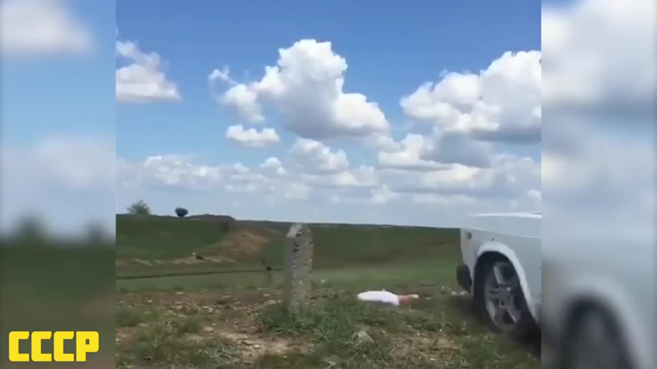 norm - Coub - The Biggest Video Meme Platform