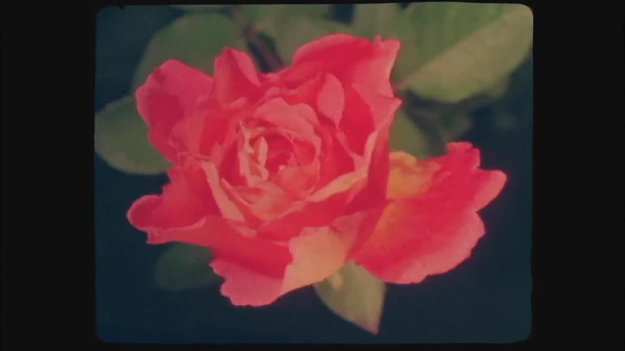 Voicemail-Castro Escobar(a remix by RizonielTV on YouTube) - Coub - The ...