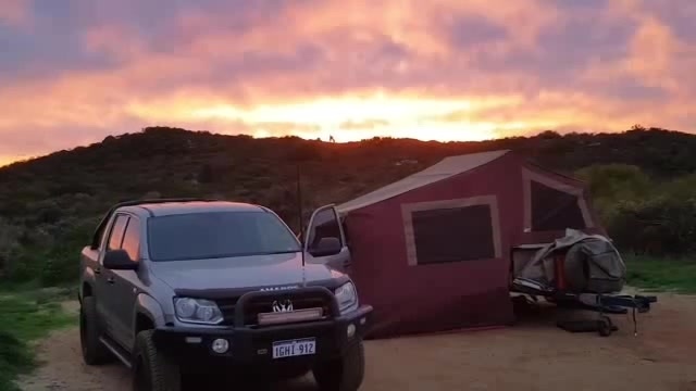 epic kangaroo battle - Coub