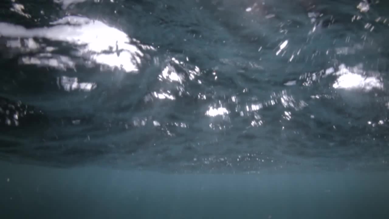 in the water - Coub - The Biggest Video Meme Platform