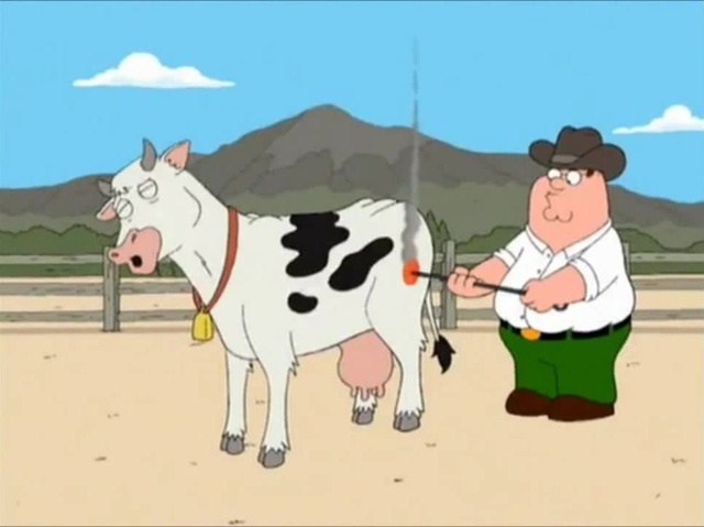 Family guy | Sado-maso cow - Coub - The Biggest Video Meme Platform