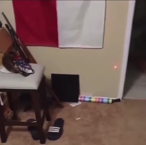 play with light - Coub