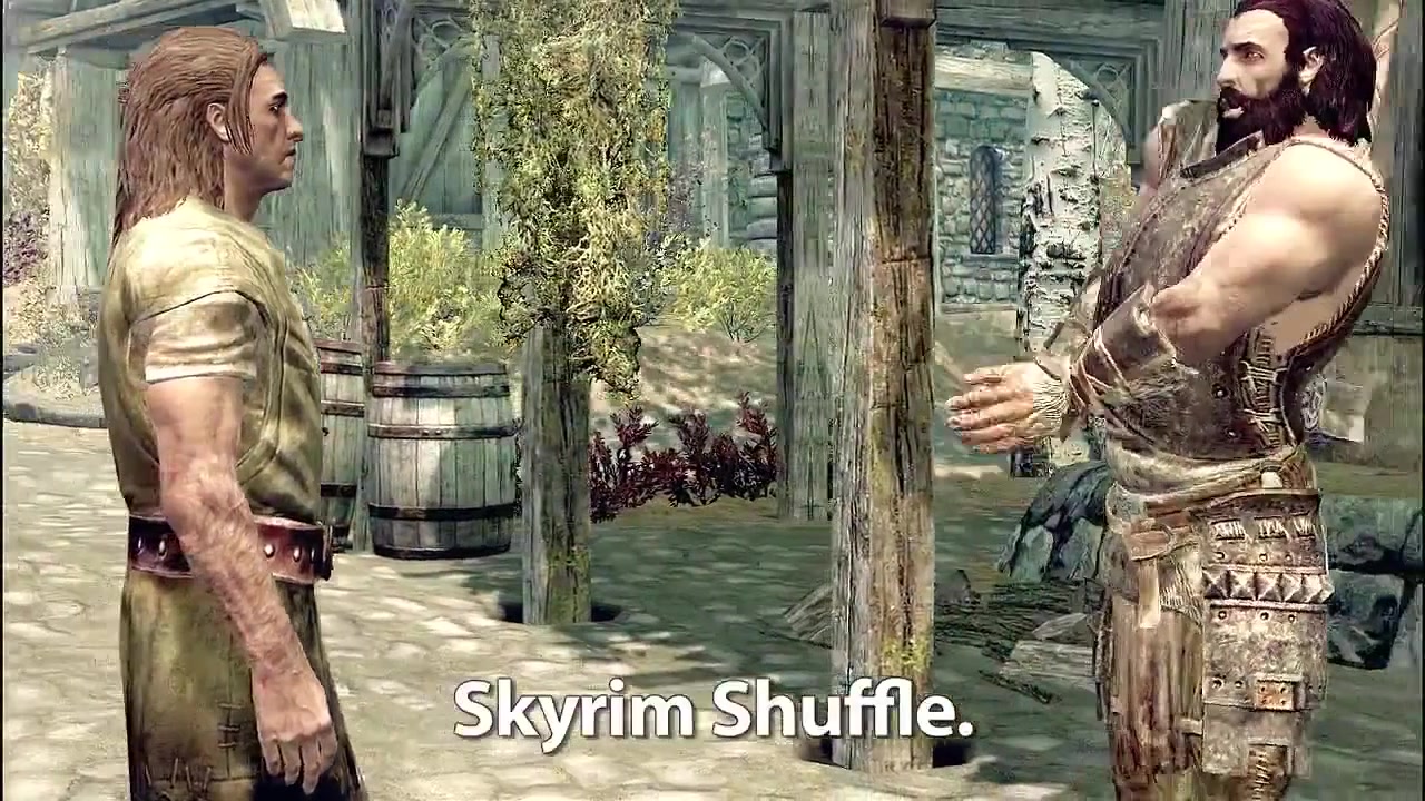 Skyrim shuffle! - Coub