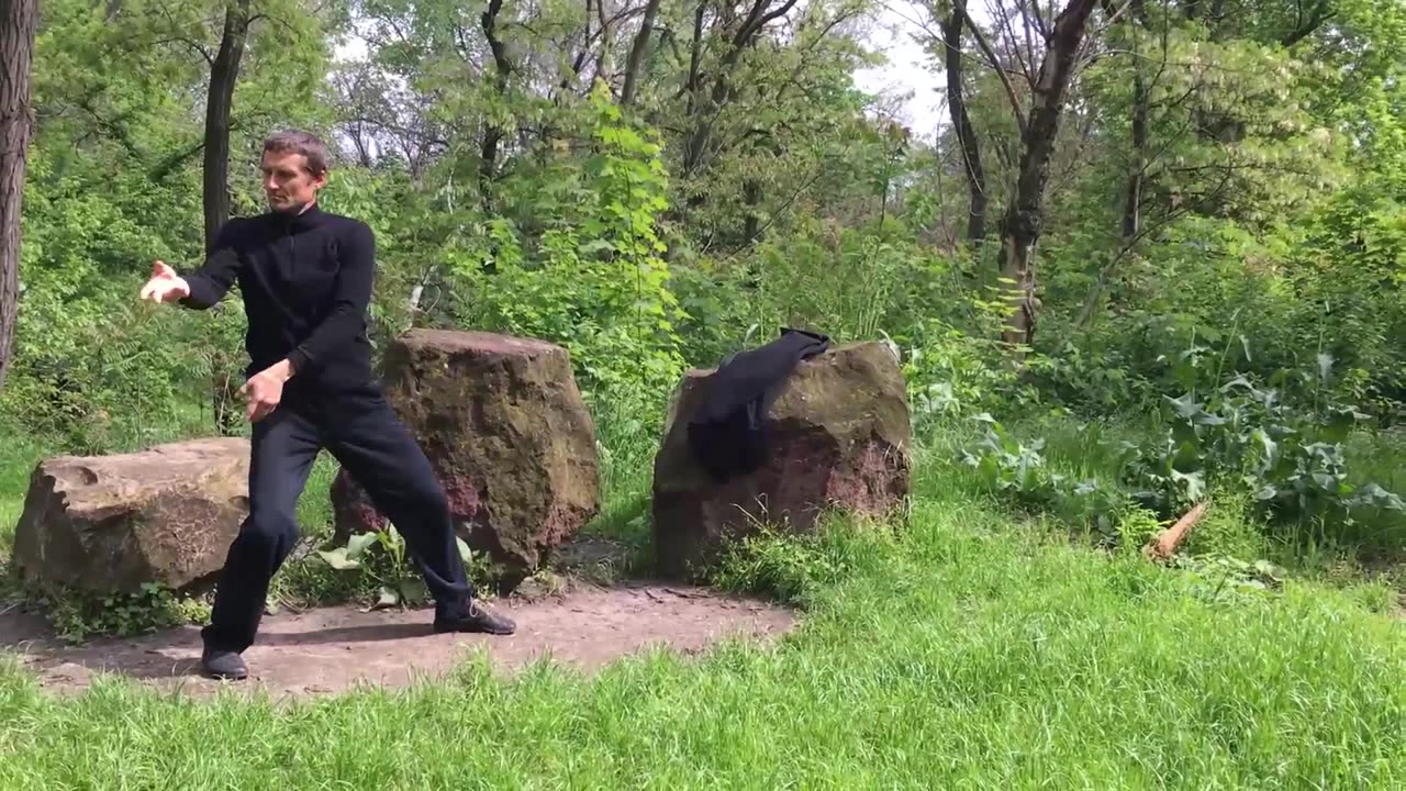 Kung fu fighting - Coub