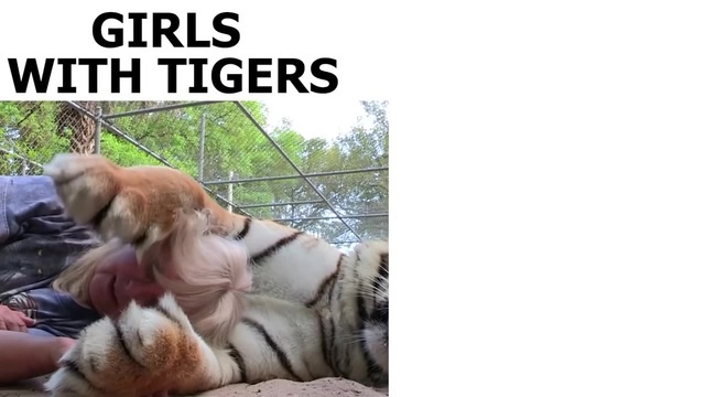 BOYS VS GIRLS PLAYING WITH TIGERS - Coub