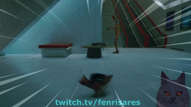 Drifting Stray - Coub