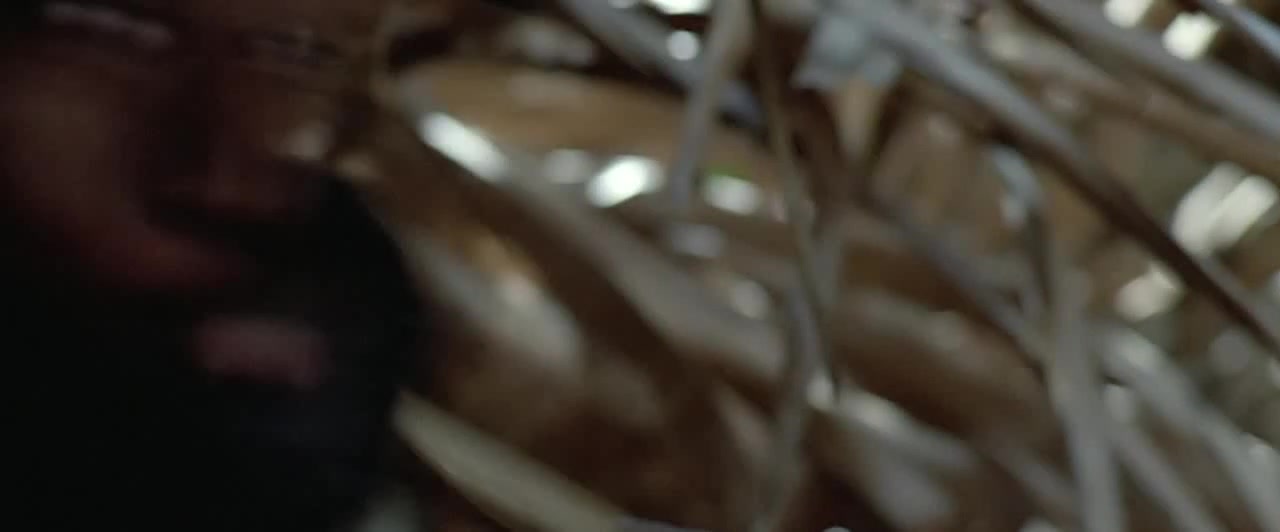 Surprise - Coub - The Biggest Video Meme Platform