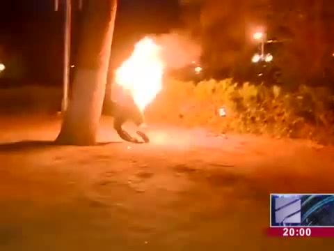 ქართველი Firestarter - Coub - The Biggest Video Meme Platform