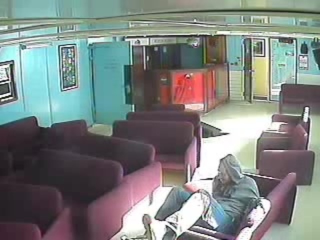 Real Insanity - Coub