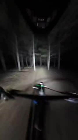 👽 Dare you ride on bike in forest the night ⚡ - Coub