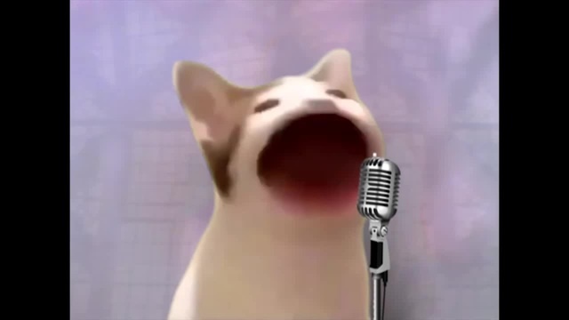 Pop Cat - Never Gonna Give You Up - Coub