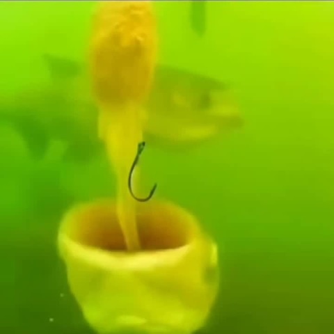 My bait when I go fishing - Coub